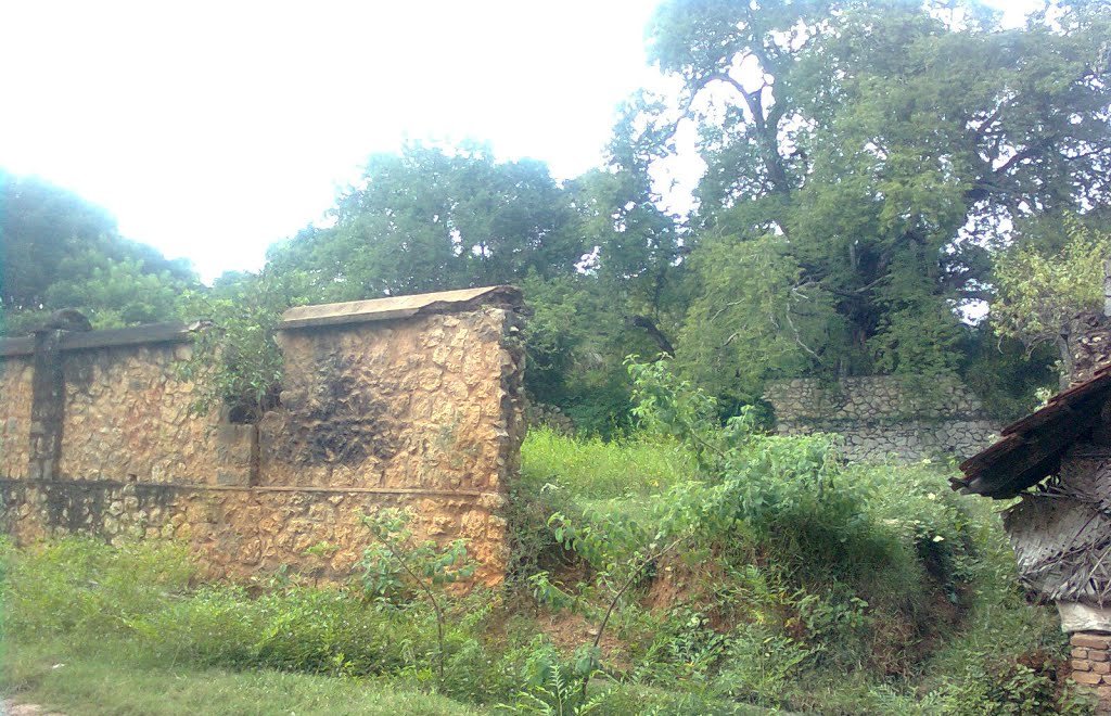 Tamilnadu Tourism: Eraniel Palace Ruins, Eraniel, Kanyakumari