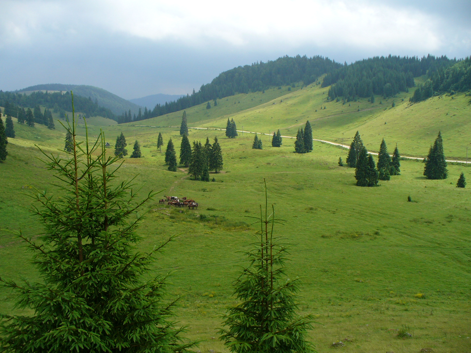 TreKKing Romania: Apuseni Mountains