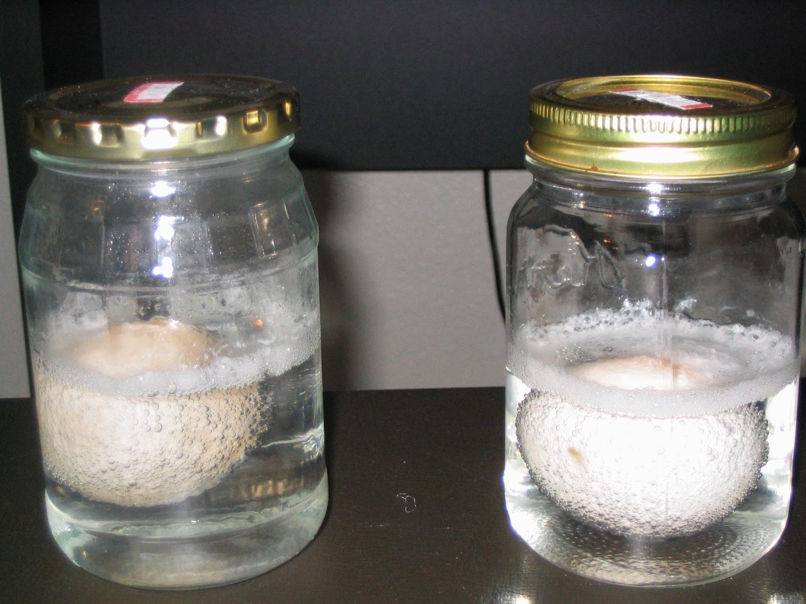 Pratt's Educational Resources: Egg Experiments