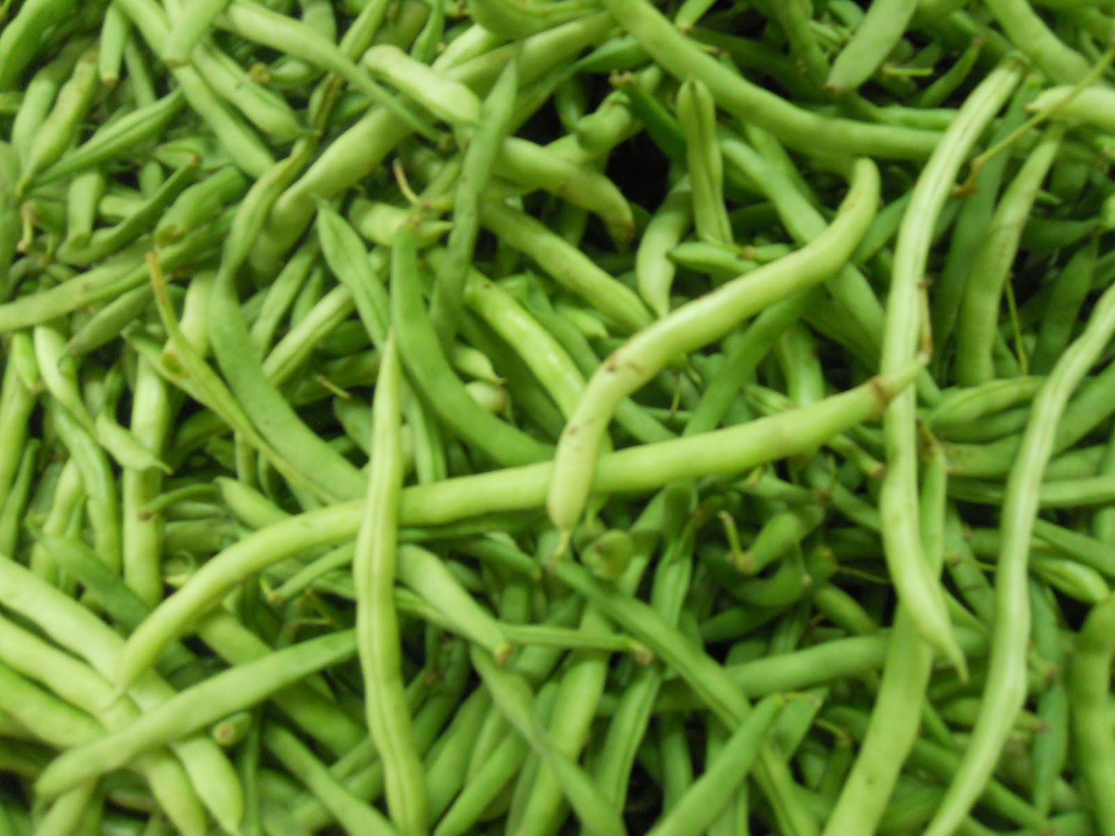 Healthy Food: Some Healthy And Famous Vegetable In Pakistan......
