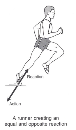 Javelin: The run-up & crossover phases