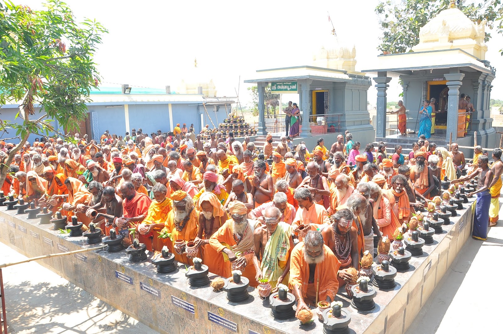 Danvantri Peedam - Universal Peedam: On today, 20th Maheswara Pooja ...