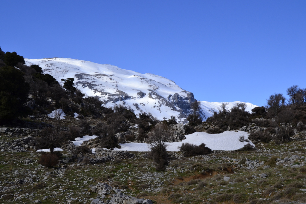 EXPLORE MOUNTAINS: ΣΓΟΥΡΟΣ ΠΡΙΝΟΣ-ΤΙΜΙΟΣ ΣΤΑΥΡΟΣ-ΧΑΥΓΑΣ ΣΤΟ ΟΡΟΠΕΔΙΟ ...