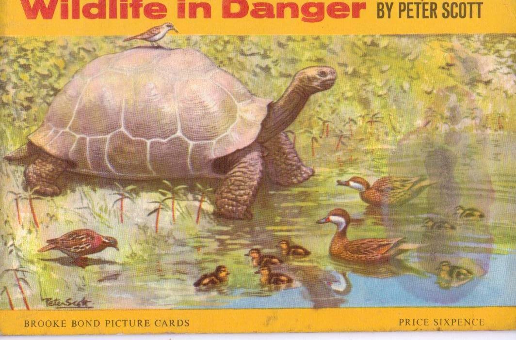 Andrew Simpson: MEMORIES OF THE I960’s & 70’s ...... from Tony Goulding