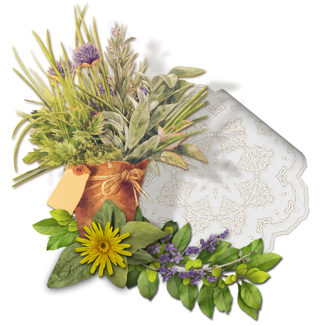 Tvoření: Obrázky PNG