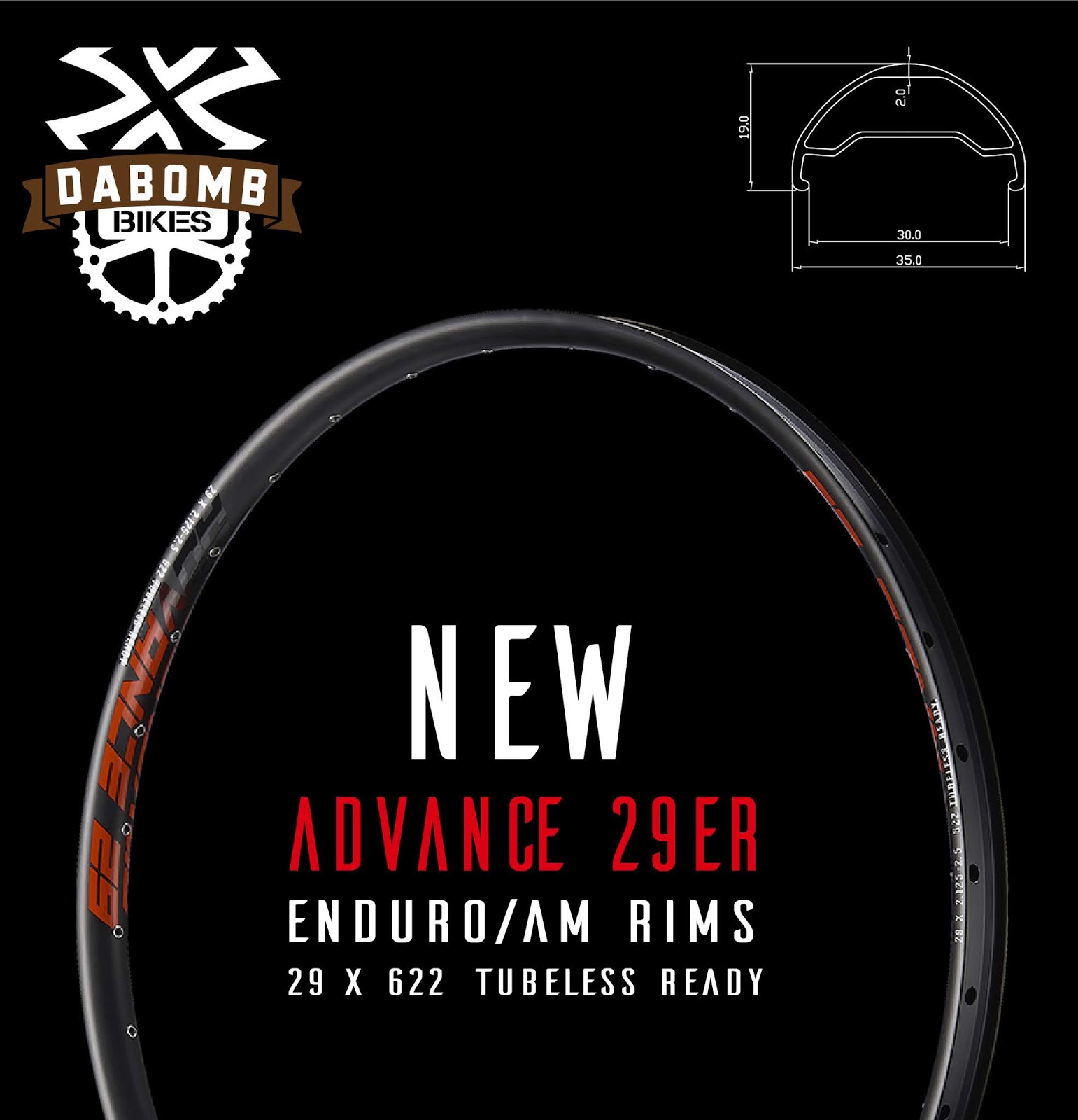 DA BOMB Bikes: Extreme MTB Frames & Components: DaBomb ADVANCE 29er Rim ...