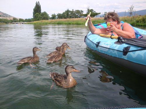 Crazy Quilter on a Bike!: Tubing on the Penticton channel