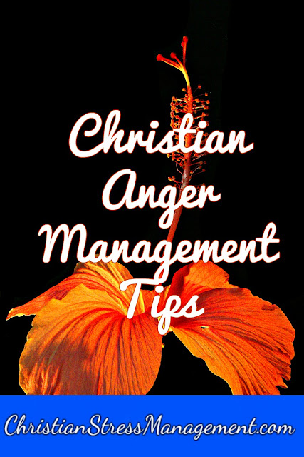 Christian Stress Management: Book: Christian Anger Management