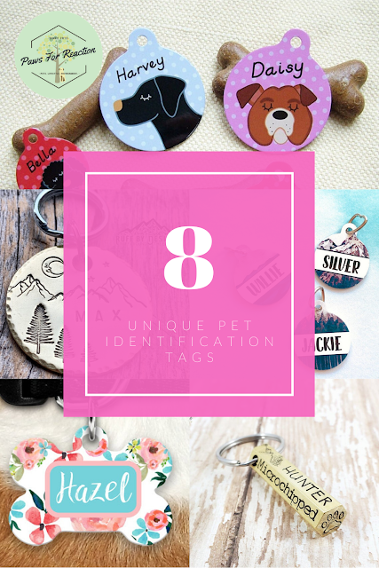 8 unique dog identification tags for National Pet Preparedness Month ...