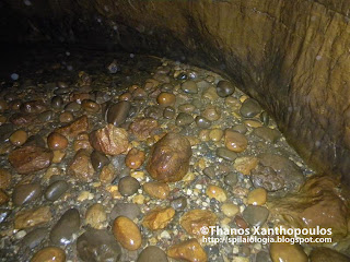 ΣΠΗΛΑΙΟΛΟΓΙΑ - SPELEOLOGY IN GREECE : ΚΑΤΑΒΟΘΡΑ ΦΤΕΡΟΛΑΚΑ - ΠΑΡΝΑΣΣΟΣ ...