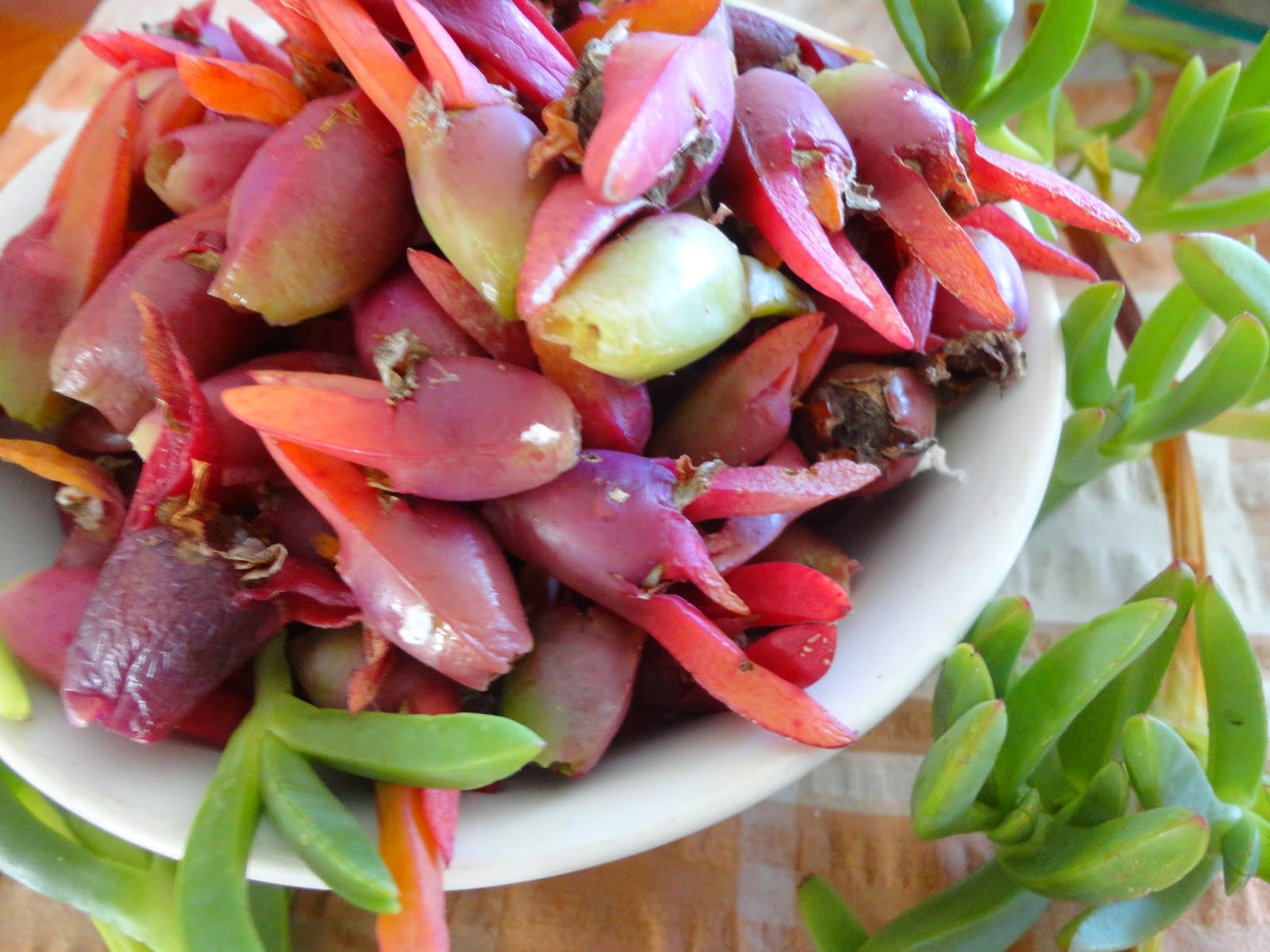 Locavore Intentions: Pig Face and not a Snout in Sight