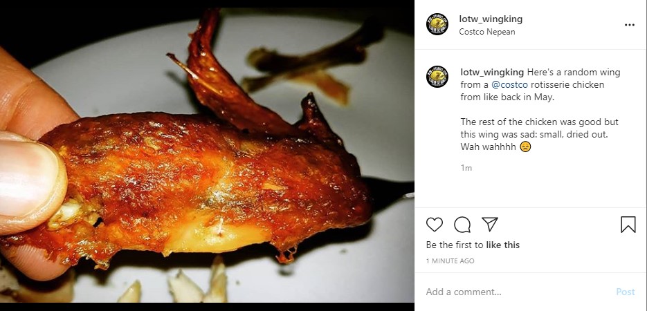 LORD of the WINGS (or how I learned to stop worrying and love the ...