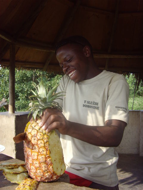 Ali's In Wanderland: Picking the perfect pineapple