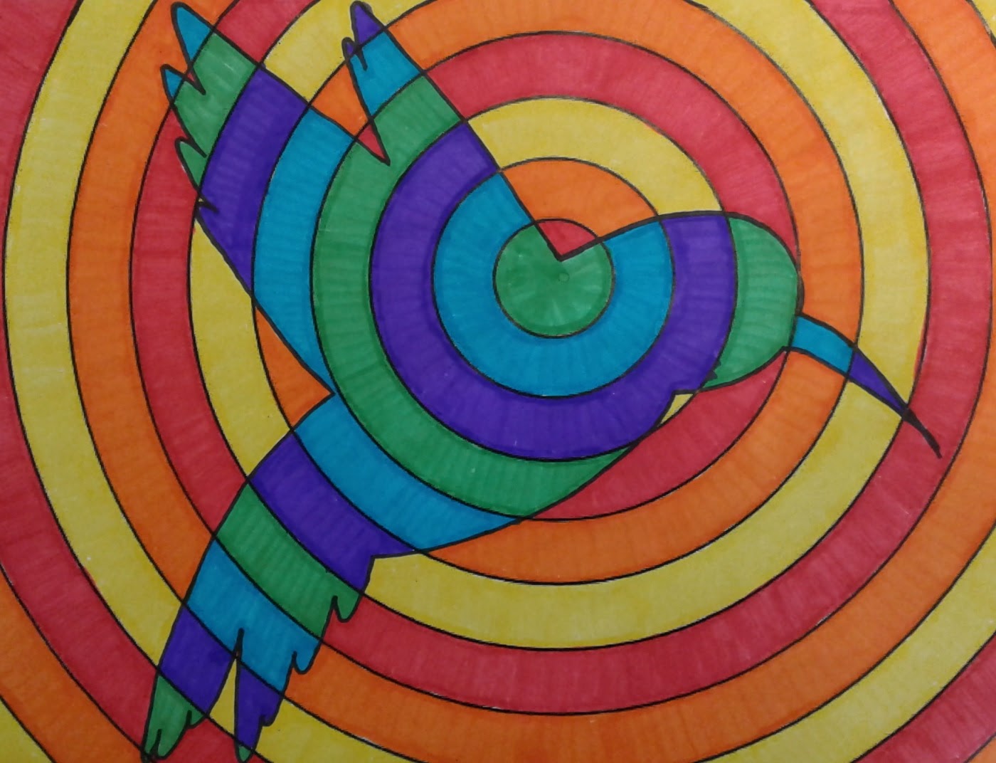 Concentric Circles In Nature