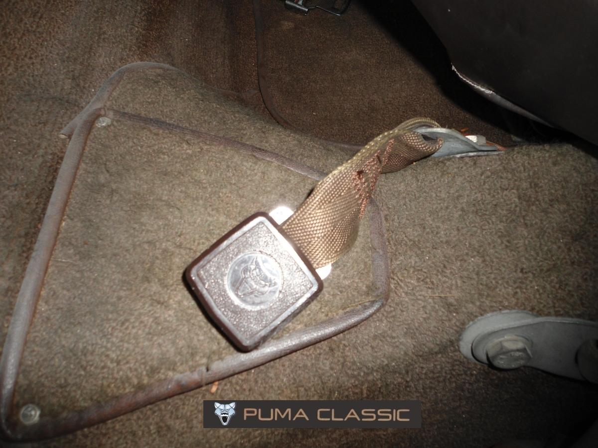 Puma Classic: Puma de amigo - GTS 1979 Verde Cactus