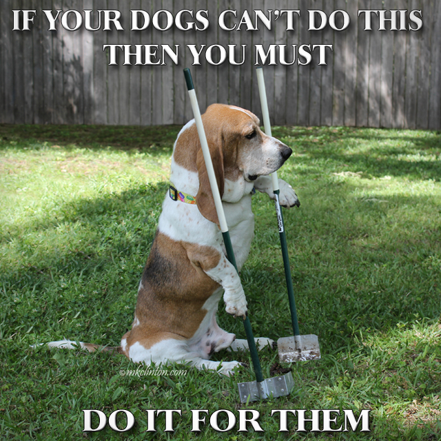 Shaking My Head Meme