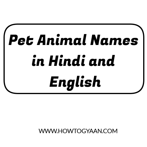 Pet Animal Names In Hindi And English pet-animal-names-in-hindi-and-english