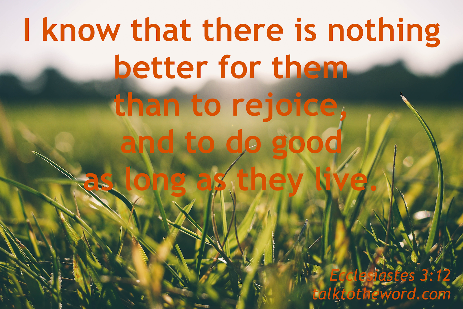 PIB Ecclesiastes 1-6 Posters