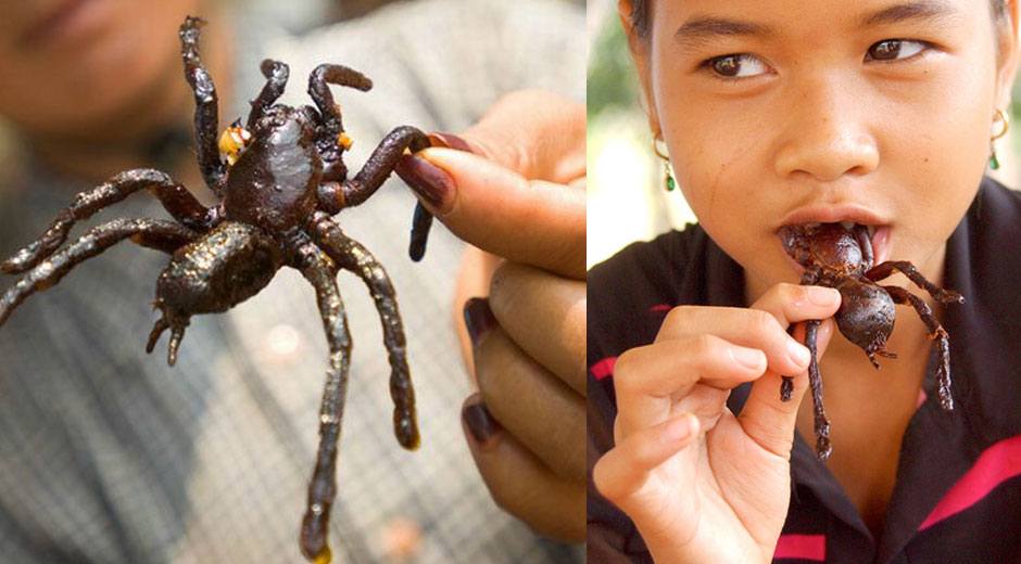 Here Culinary Most Extreme Eating Tarantula in Cambodia | Medical News