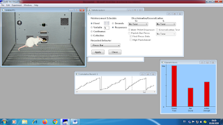 Condicionamiento operante en Sniffy