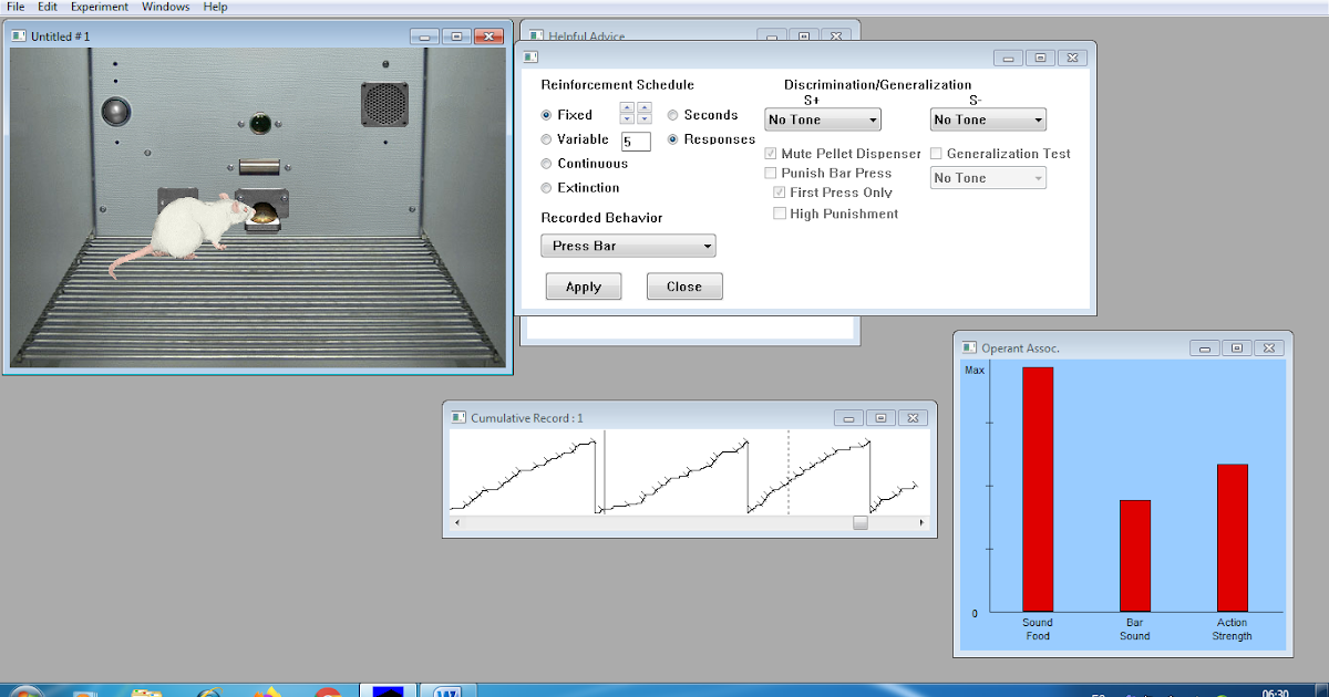 Condicionamiento operante en Sniffy