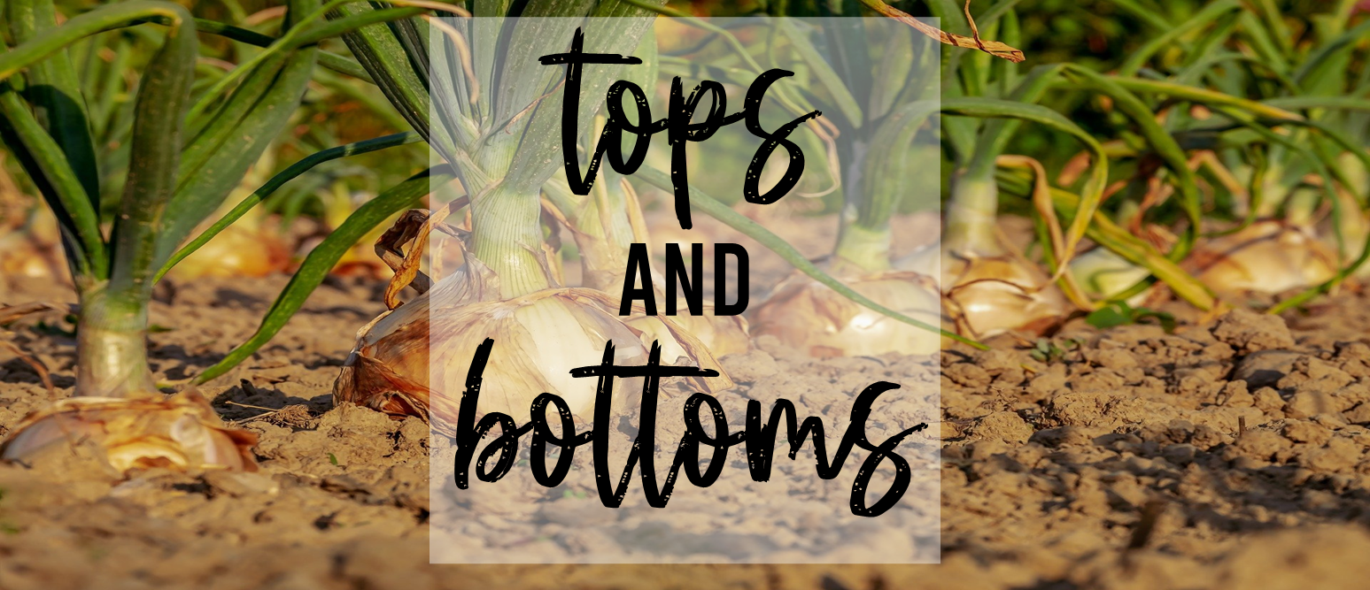 Tops & Bottoms | Mrs. Bremer's Class