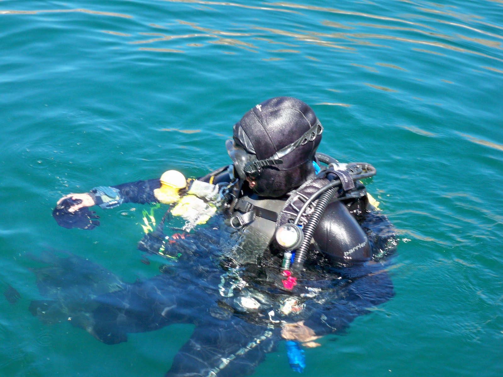 Dive Team in Action|LVMPDSAR