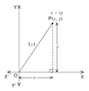 Argand Plane and Polar Representation