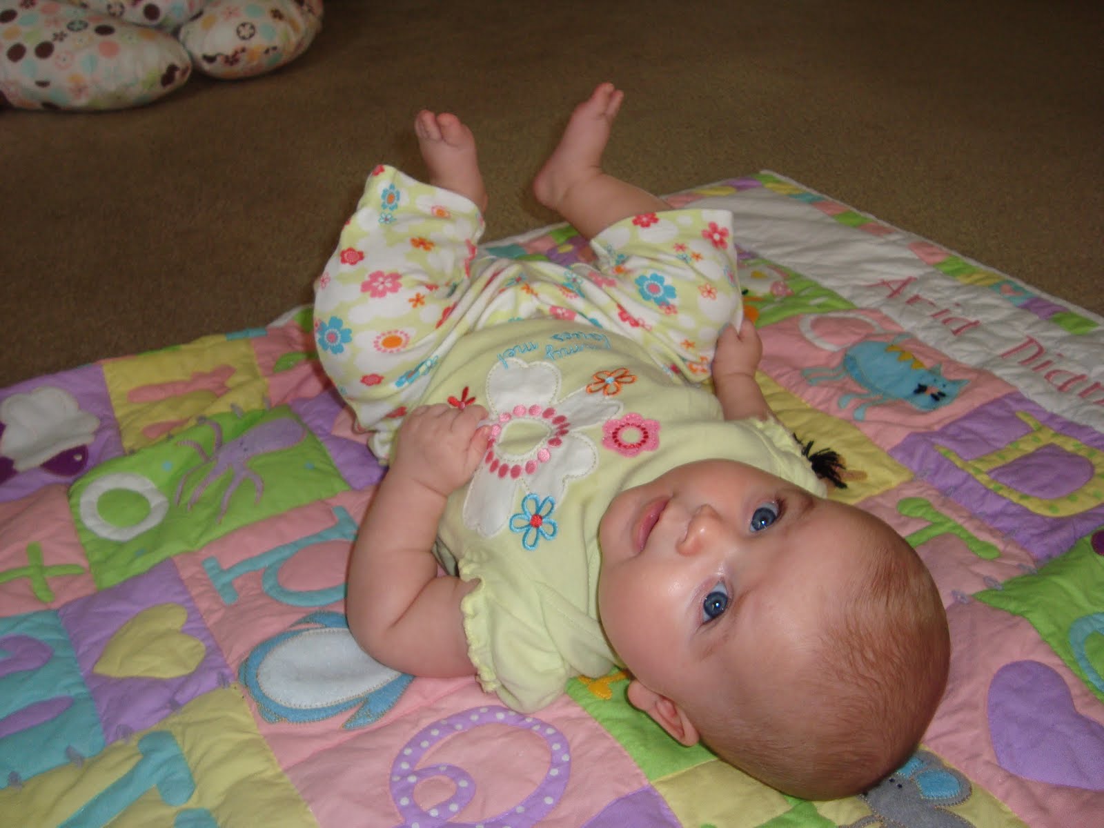 Knee Family!: Roll Baby Roll...