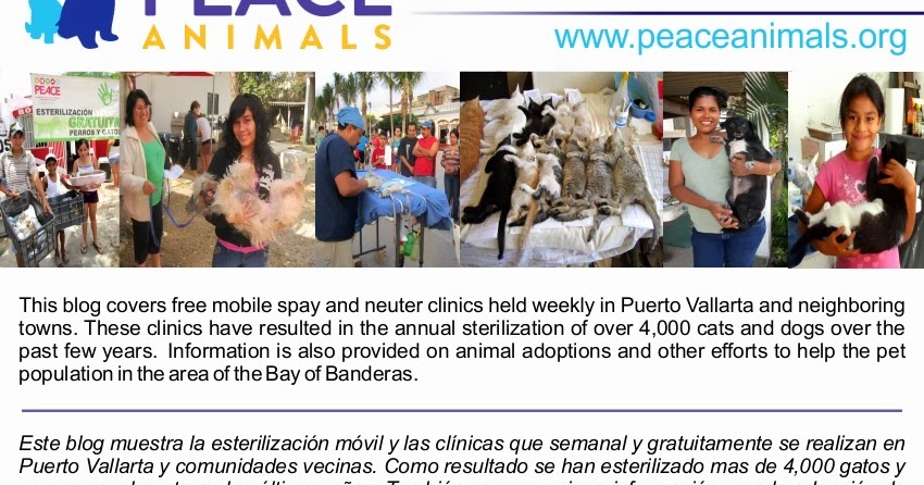 PEACE Animals Supports The Protection of Animals, Culture ...
