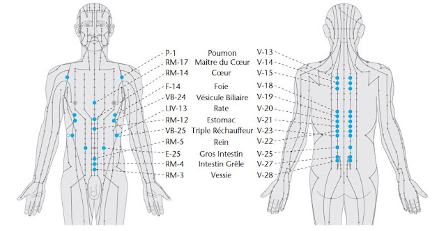 Blog Le Souffle du Menhir: Les points Bei Shu Xue / Bèi Shū Xué Shu ...