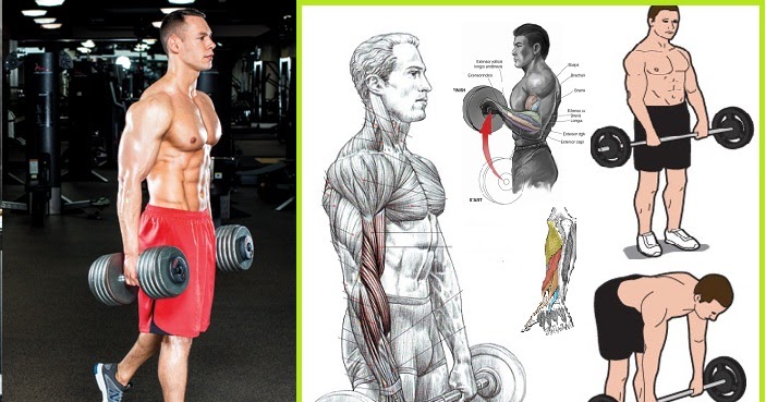 How to Build Forearms Fast