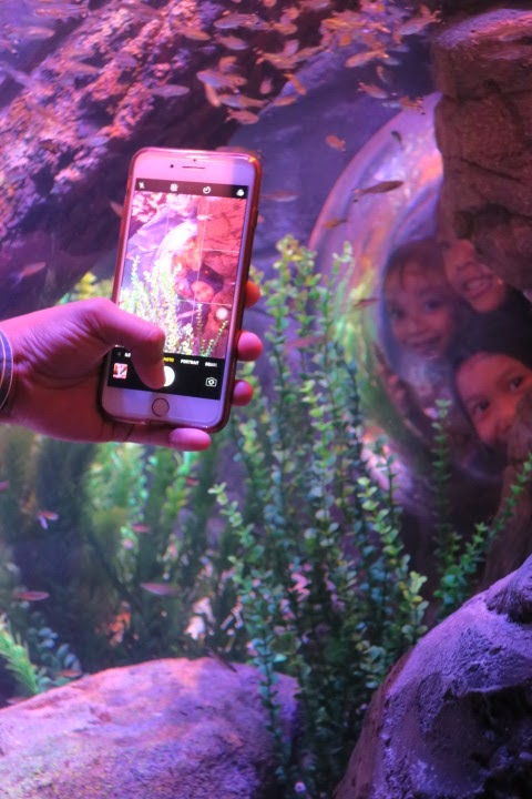 Peggy Loh ~ My Johor Stories: Sea Life Malaysia opens in Legoland here!