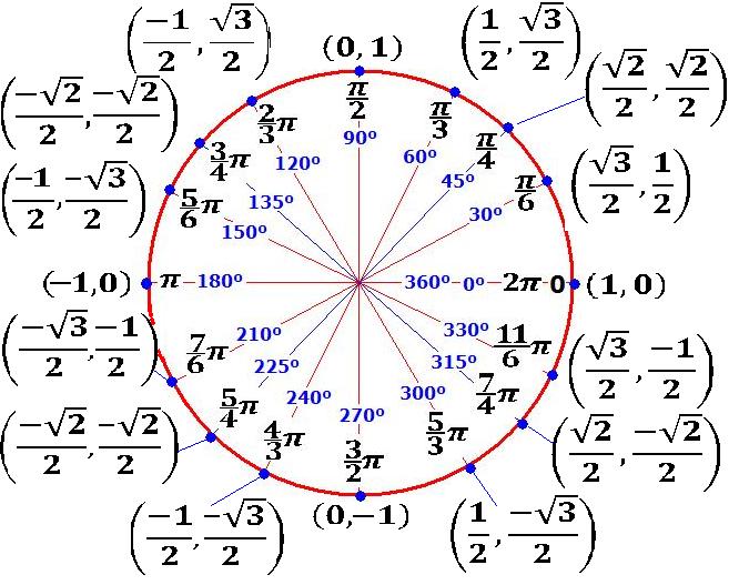 niche bort: Circulo unitario, Funciones trigonometricas de los angulos