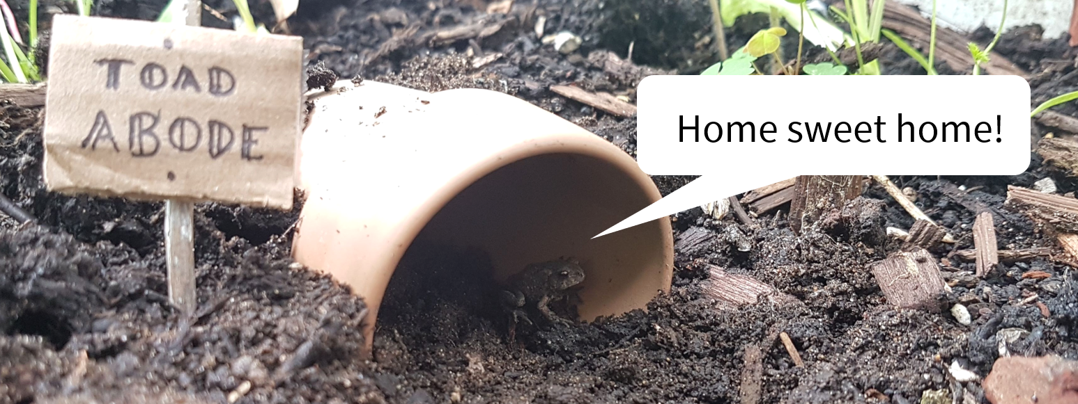 Kids in the Biosphere: July 2020