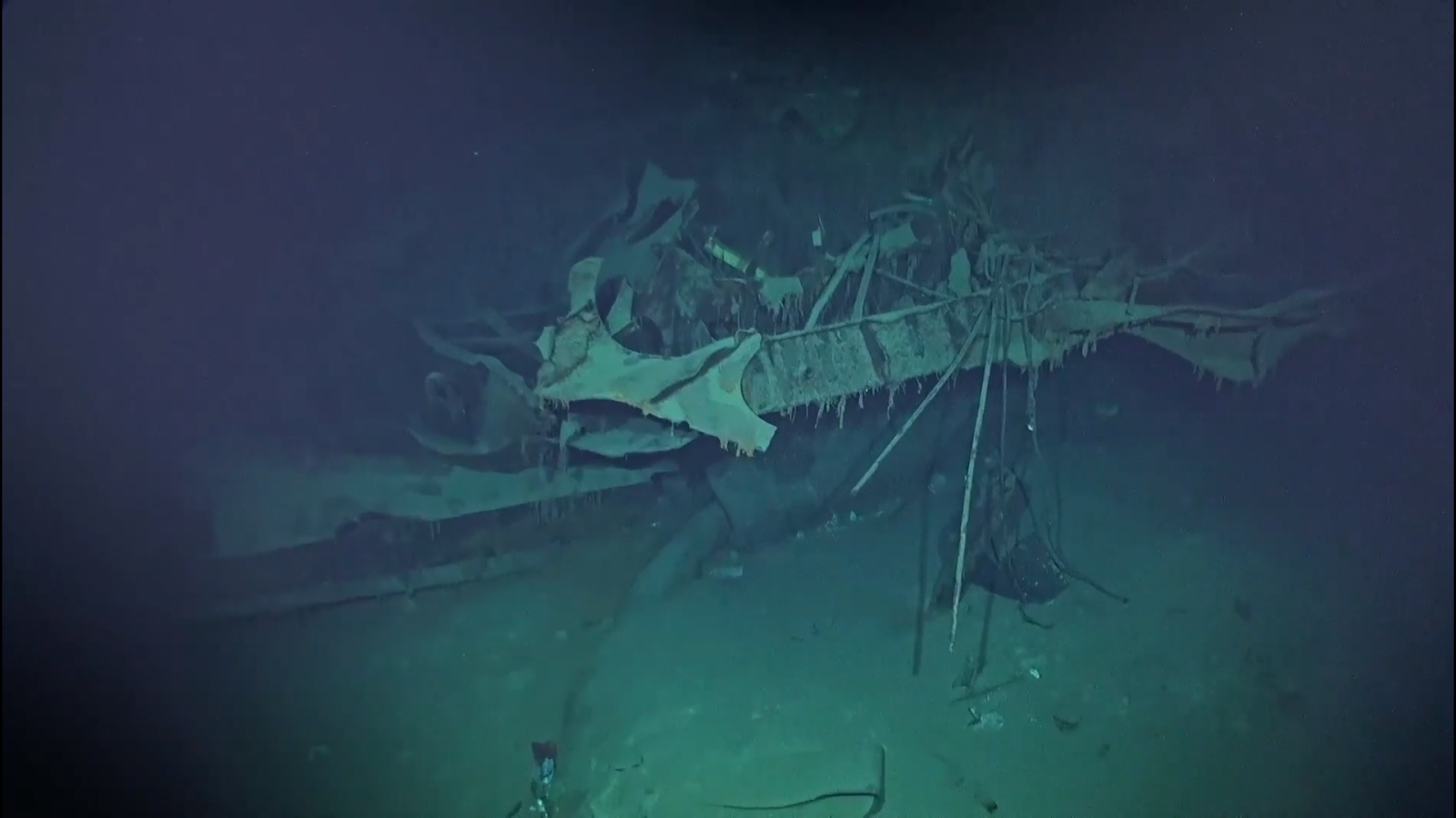 The Wreck of the USS St. Lo