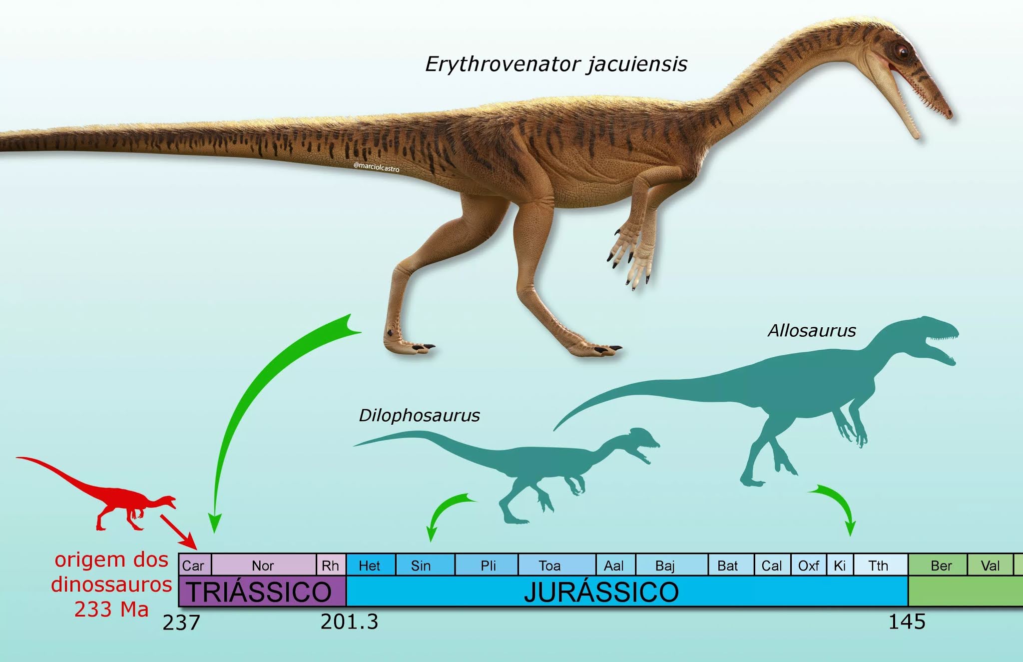 Species New to Science: [Paleontology • 2020] Erythrovenator jacuiensis ...