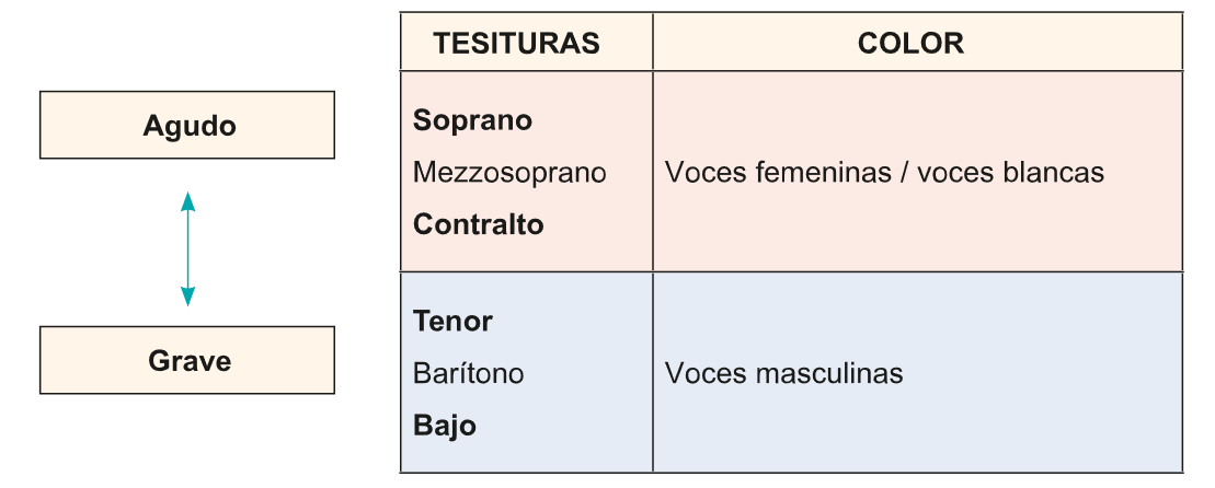 Música en el aula: LAS TESITURAS DE LAS VOCES HUMANAS
