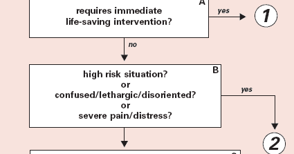 Enfermer@ en Urgencias y UCI : Triage IV: Australiasan Triage Scale ...