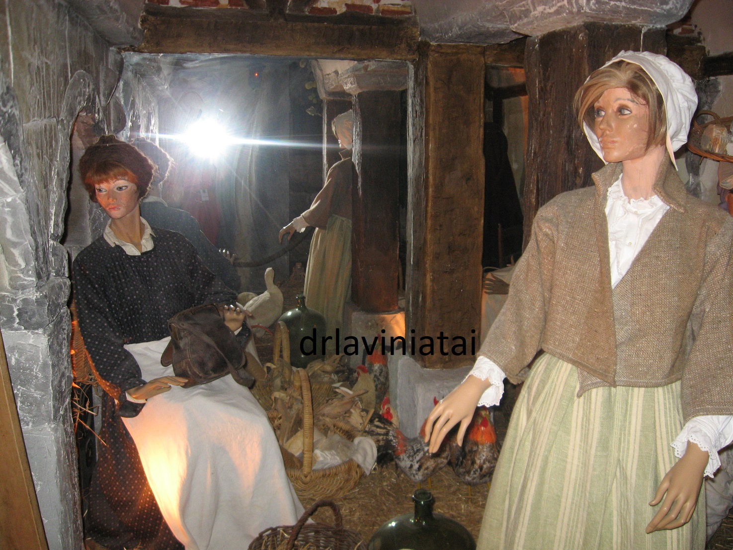 The Meaning and Purpose of Life: THE MUSEUM OF LOURDES