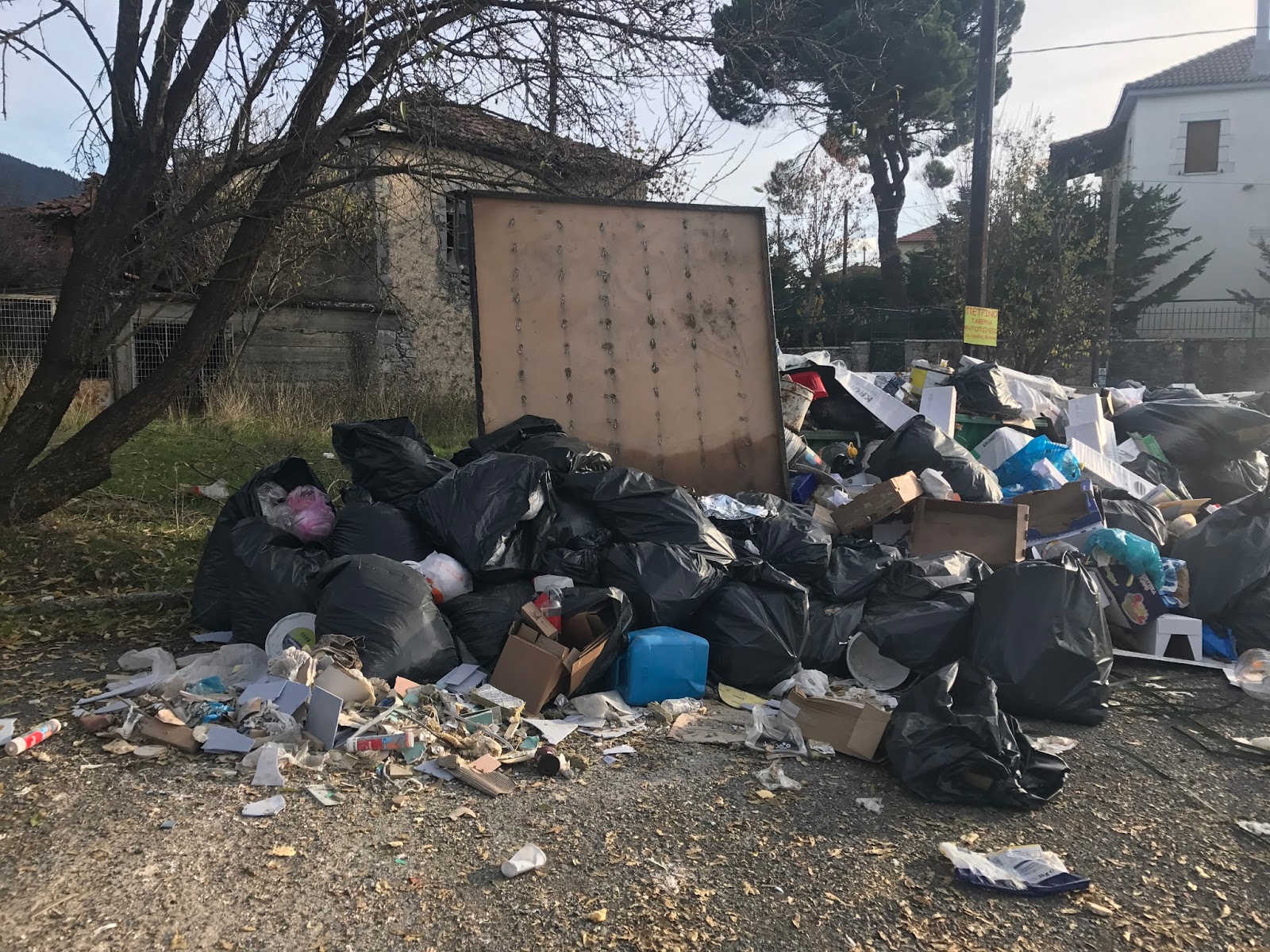 ORTHOLOGIKA: ΣΚΟΥΠΙΔΙΑ ΓΟΡΤΥΝΙΑΣ : ΣΩΡΟΙ ΣΑΠΙΩΝ ΣΚΟΥΠΙΔΙΩΝ ΣΤΟ ΔΗΜΟΤΙΚΟ ...