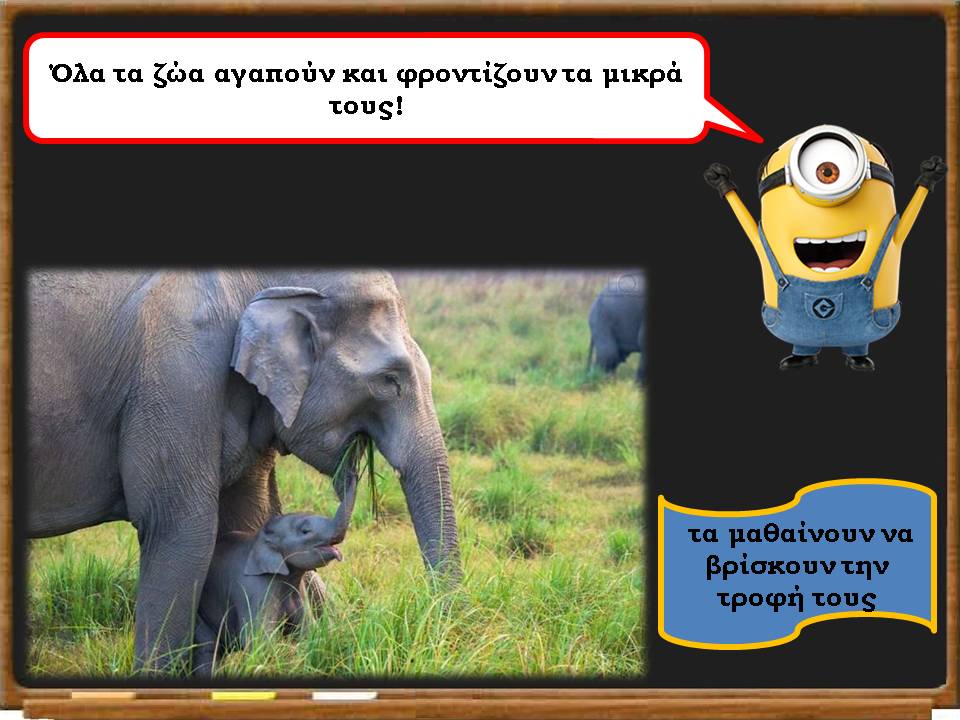 Παίζω και μαθαίνω: ΤΑ ΖΩΑ