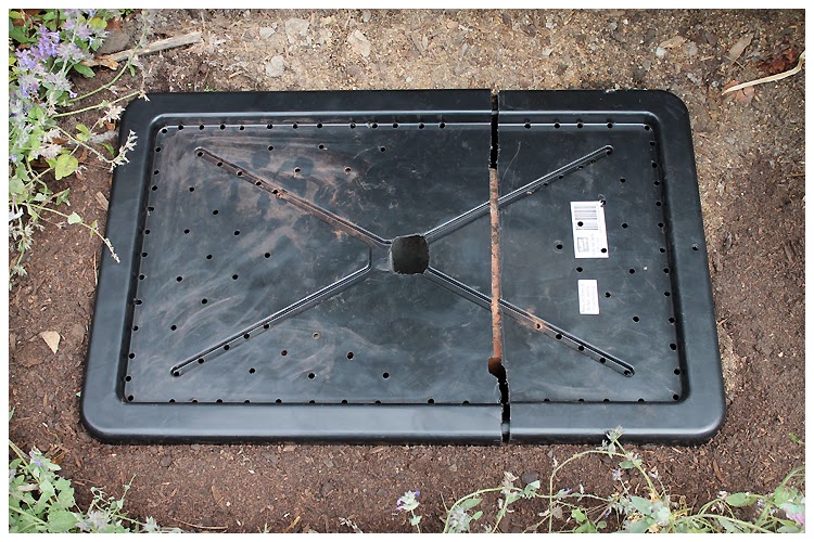 Camellia Rose: How to install a water feature