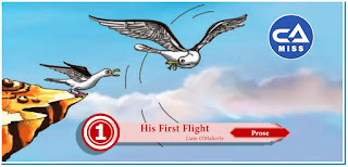 10th English || Unit -1 || Prose - Paragraph || His First Flight