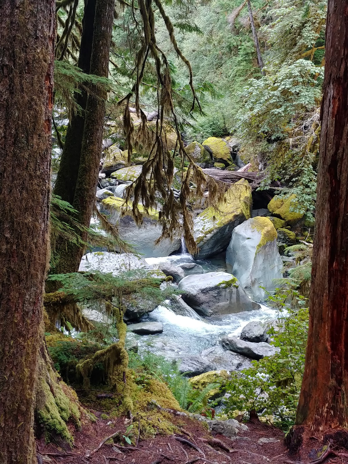 Peter And Evie - Travel blog: Sept 13 - Staircase, Olympic National ...