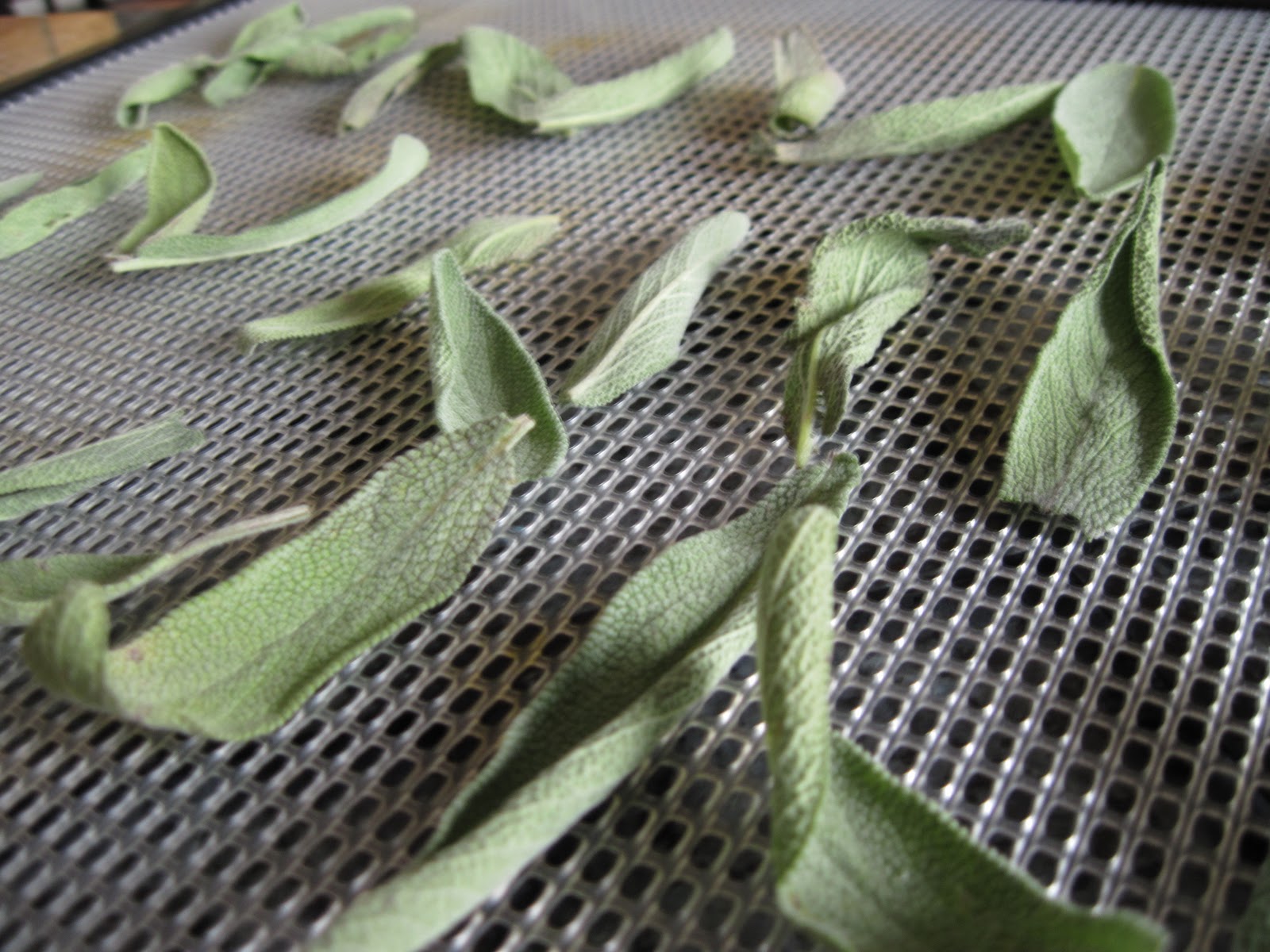 Drying herbs: two techniques | Yankee Kitchen Ninja