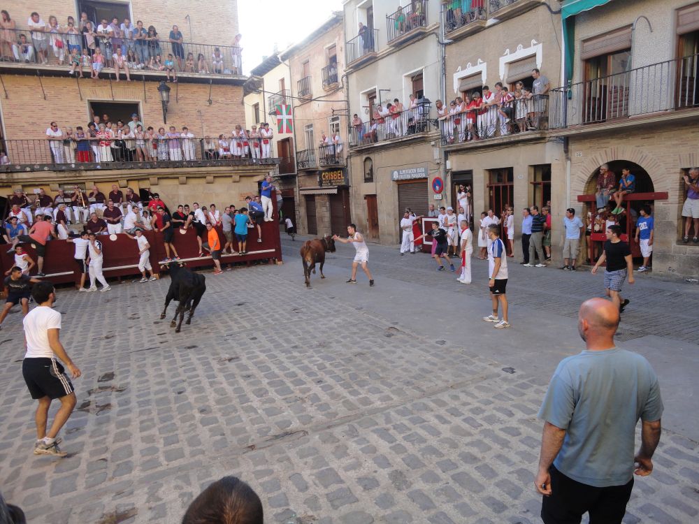 Naar Compostela met Govaka: We hadden ze al, maar nu zijn ze echt… de ...