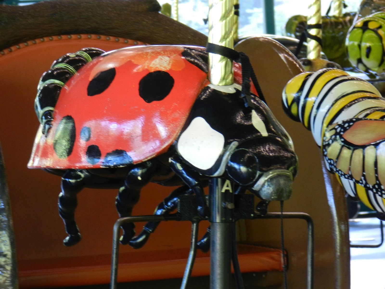 Anita's Adventures 2013