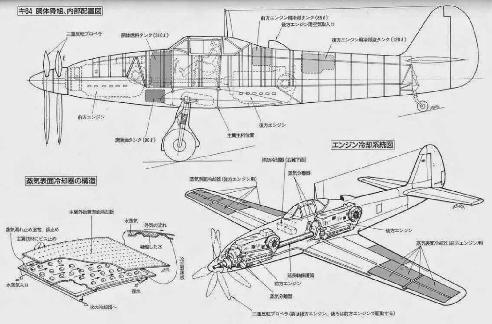 Japanese Aircraft of WWII: Kawasaki Ki-64