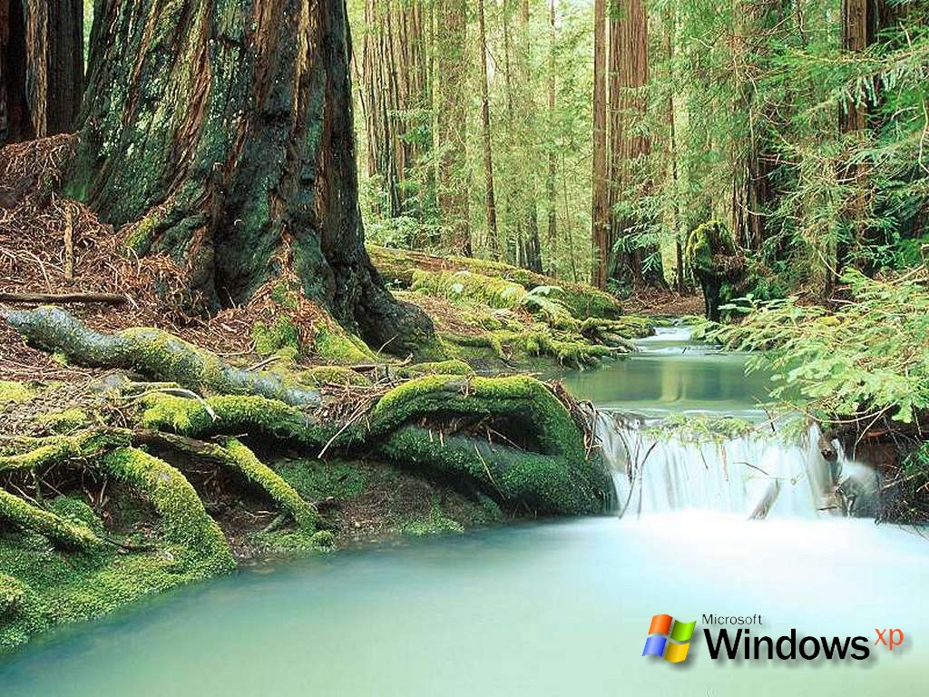 Windows Wallpapers - Photos, Pictures And Wallpapers